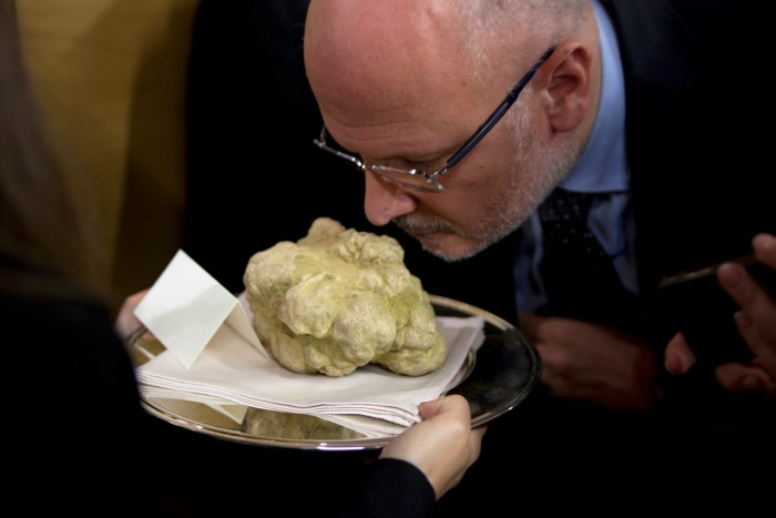 Come riconoscere il tartufo bianco e nero (ed evitare fregature) - Il ... Come riconoscere il tartufo bianco e nero (ed evitare fregature) - Il ...