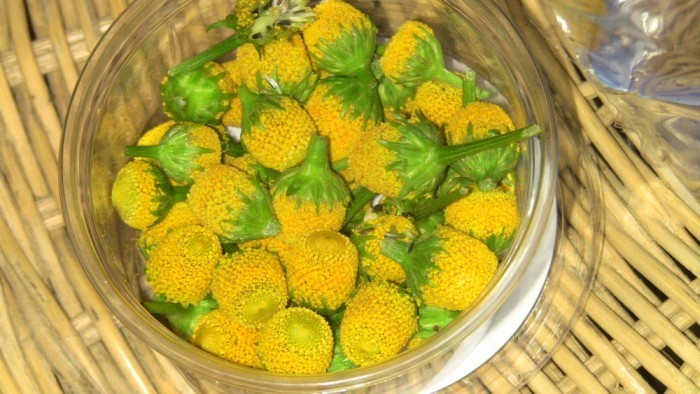 Abbiamo assaggiato il Sechuan Button, ossia il "fiore elettrico"