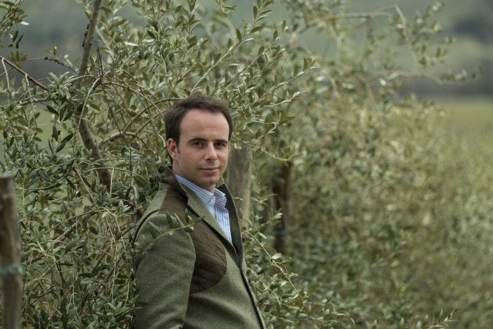 Trent'anni di Laudemio, l'olio toscano che sfida le denominazioni