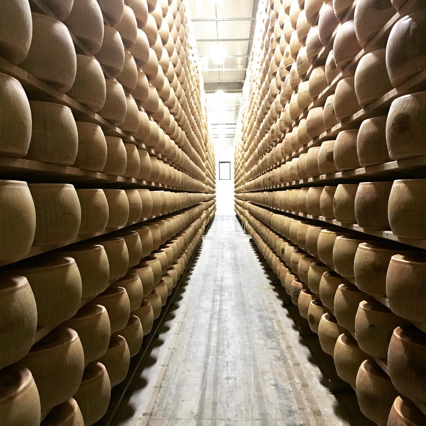 Parmigiano Reggiano, arriva la stagionatura 40 mesi: ecco il perché Parmigiano Reggiano, arriva la stagionatura 40 mesi: ecco il perché