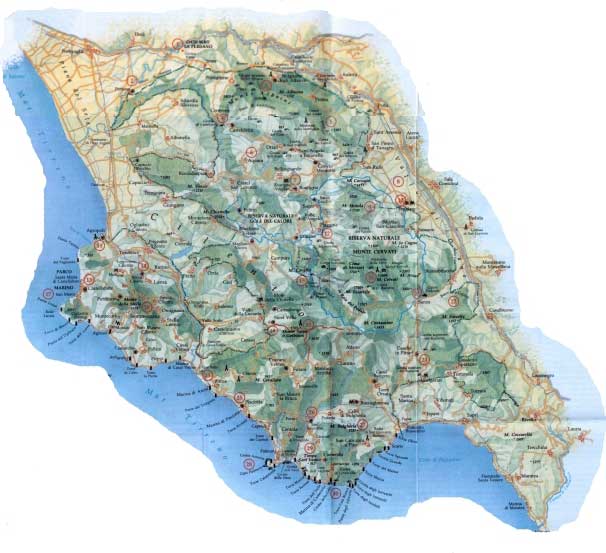 Alla scoperta dei tesori del Cilento tra mozzarella di bufala, alici e ...