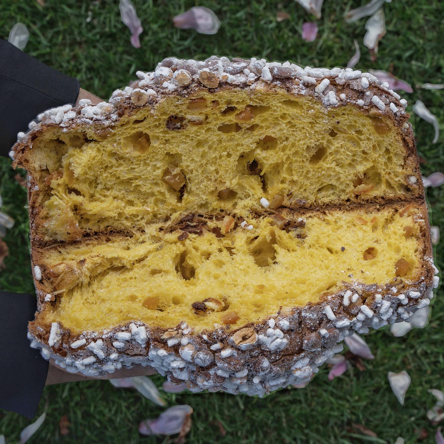 Pasqua 2021 a Firenze, il primo contest premia la creazione di Rigacci '48