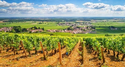 La degustazione: quattro etichette per scoprire i vini della Valle ...