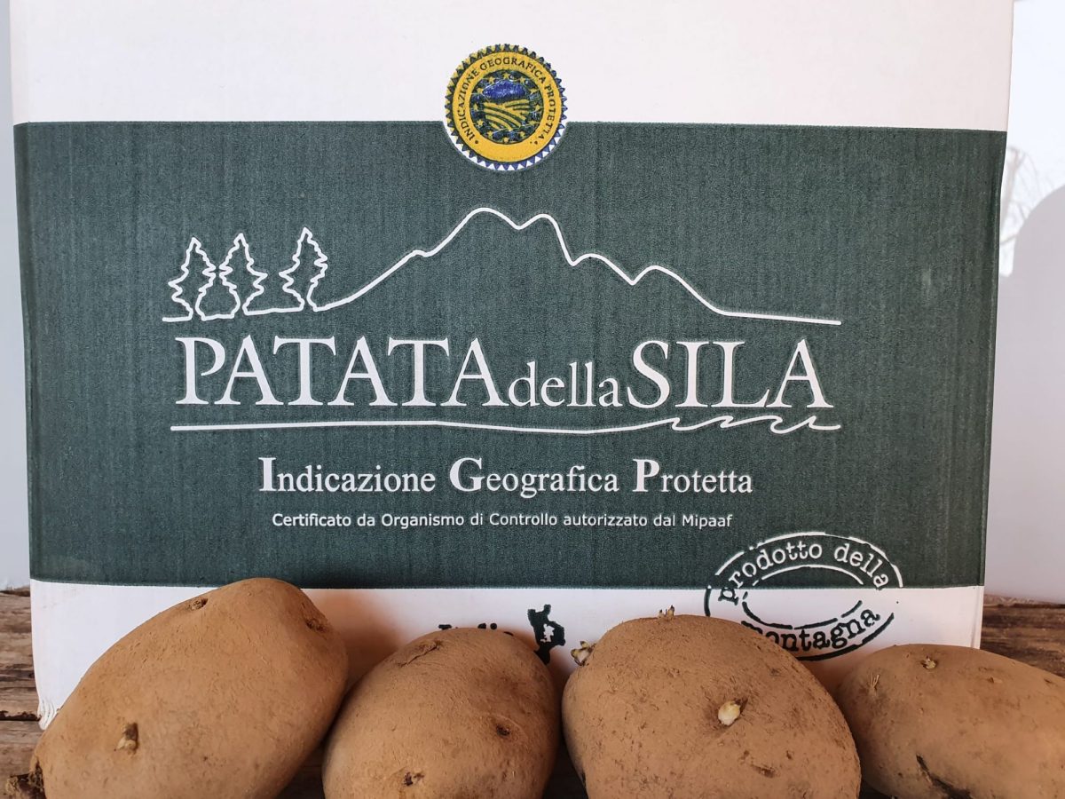 Marketing e doppi sensi: sponsor del Cosenza "rosa" è la Patata della Sila