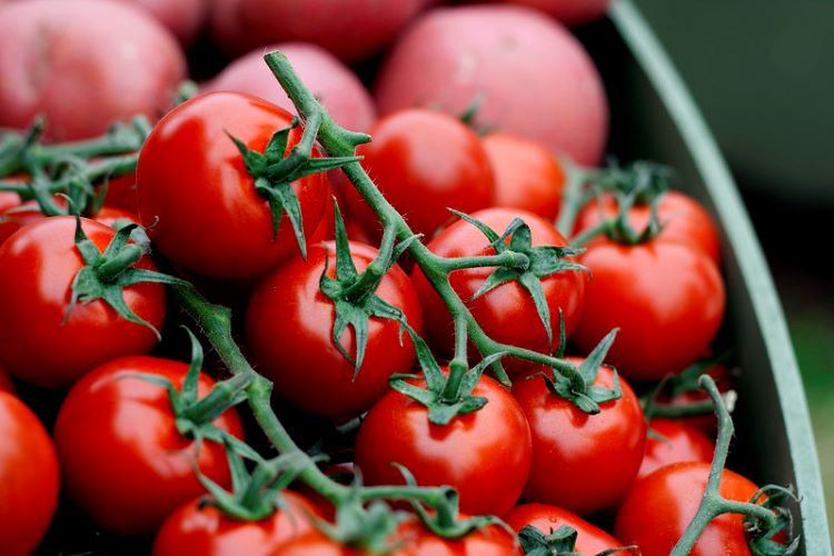 La vera storia del pomodoro: da ansia sociale a comfort food