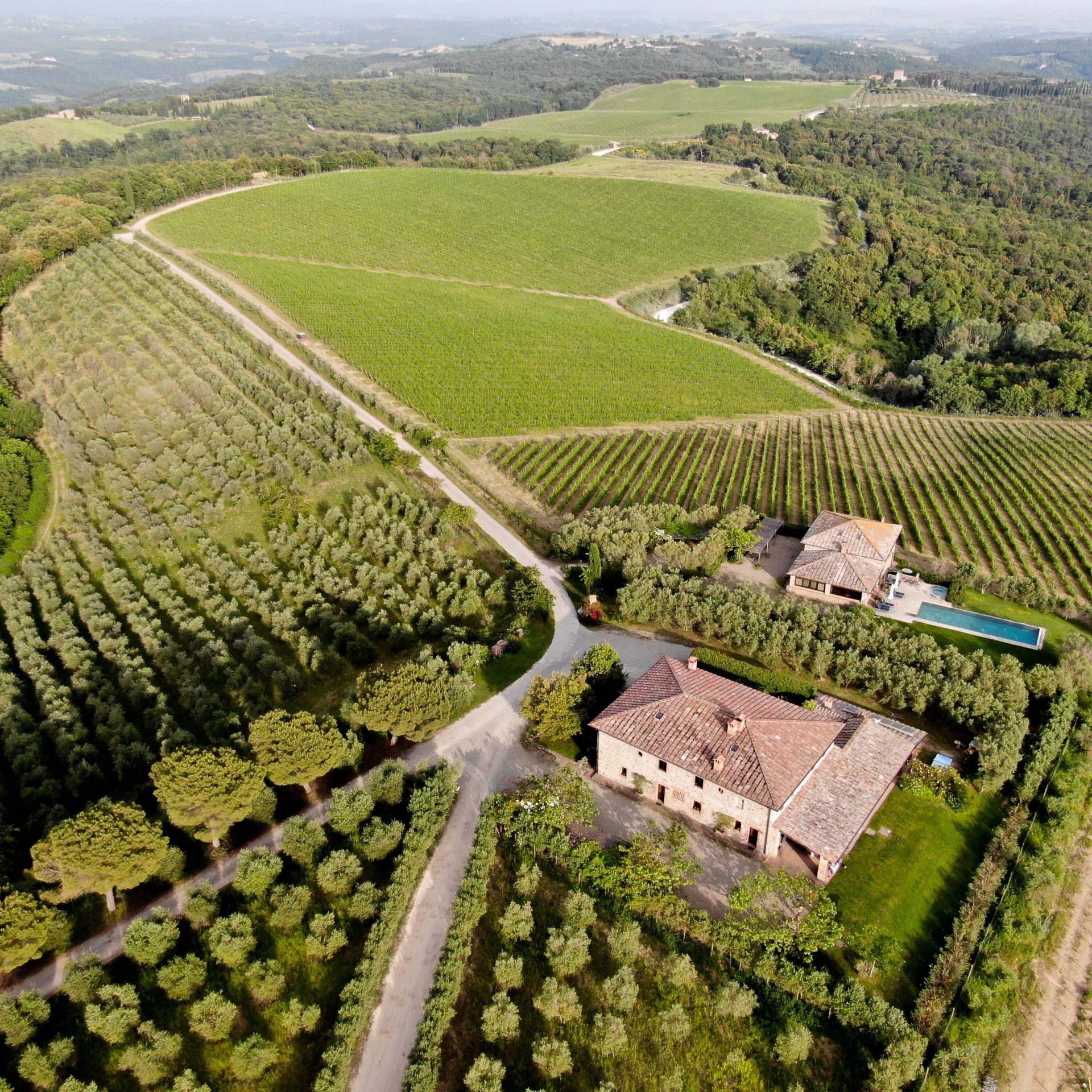 Chianti Classico: Terra di Seta, prima cantina con vini kosher e bio