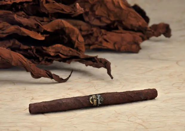 Il 'Maledetto Toscano' festeggia un quarto di secolo di fumata lenta